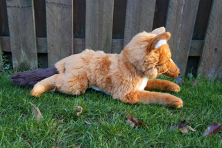 Home page – Tropical Critters