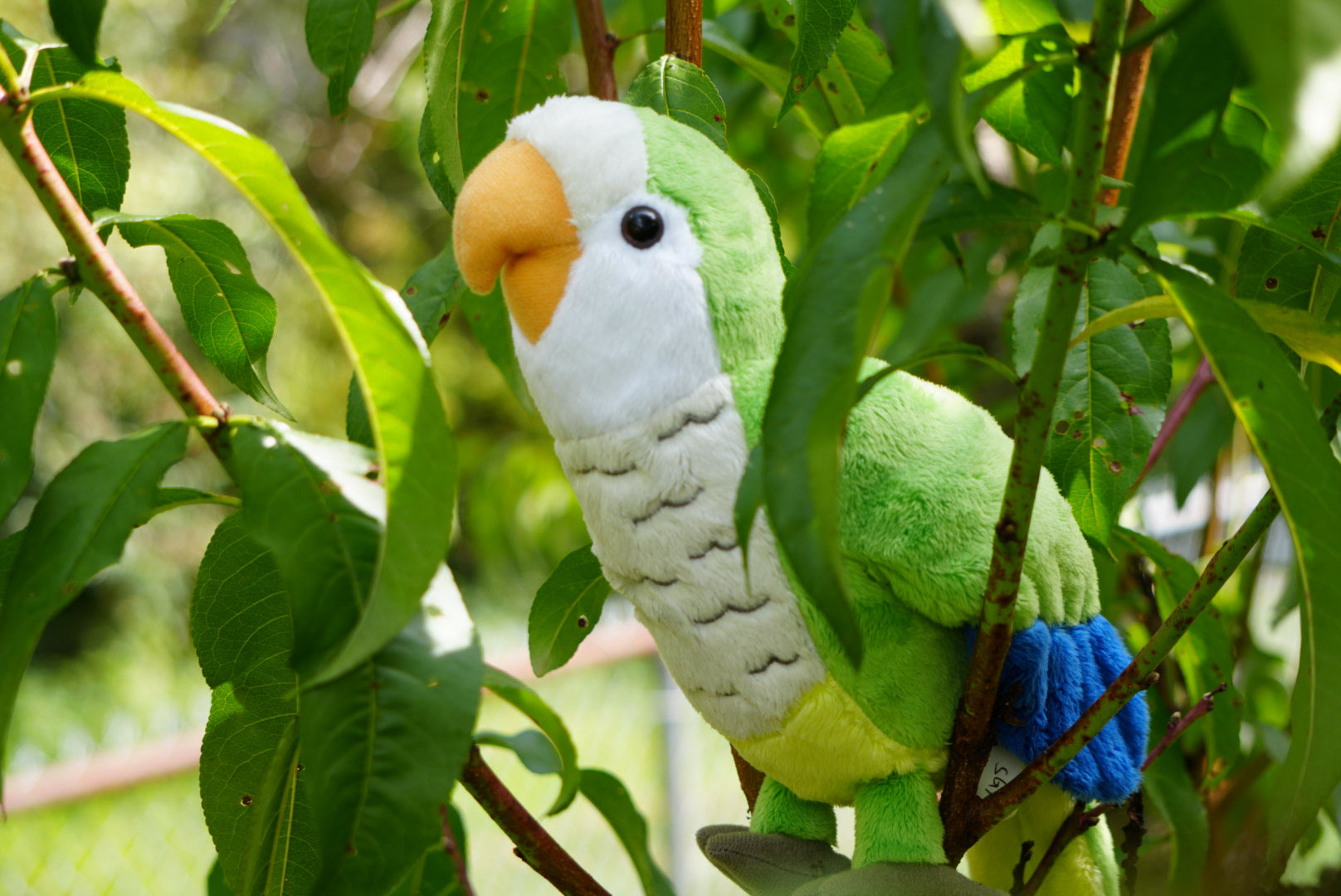 Plush – Tropical Critters