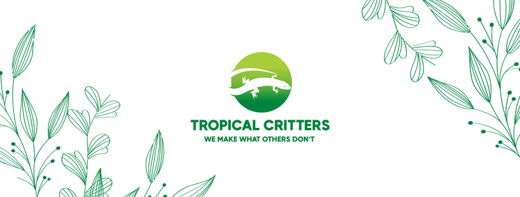 Tropical Critters